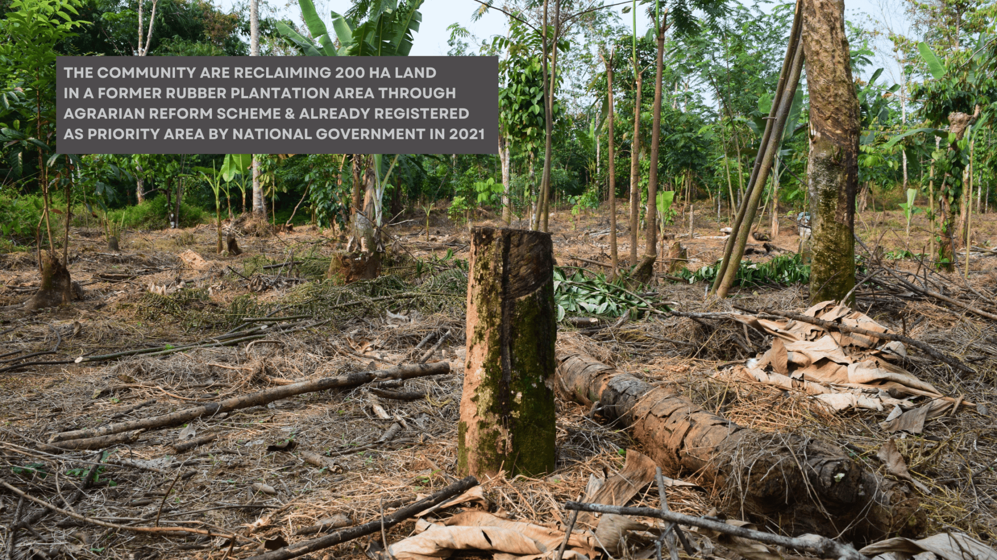 Collective Land to Support Peasants’ Struggle for Agrarian Reform in ...