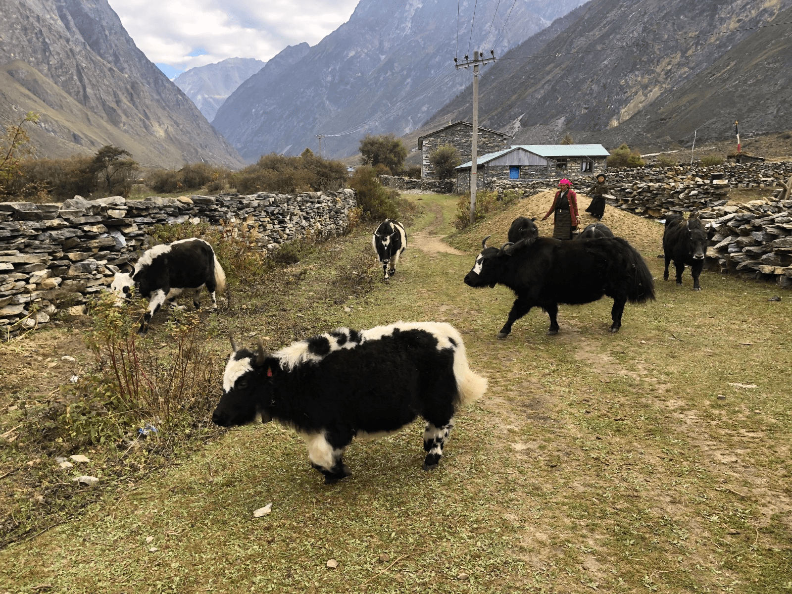Indigenous community in Nepal wins recognition for customary practice ...