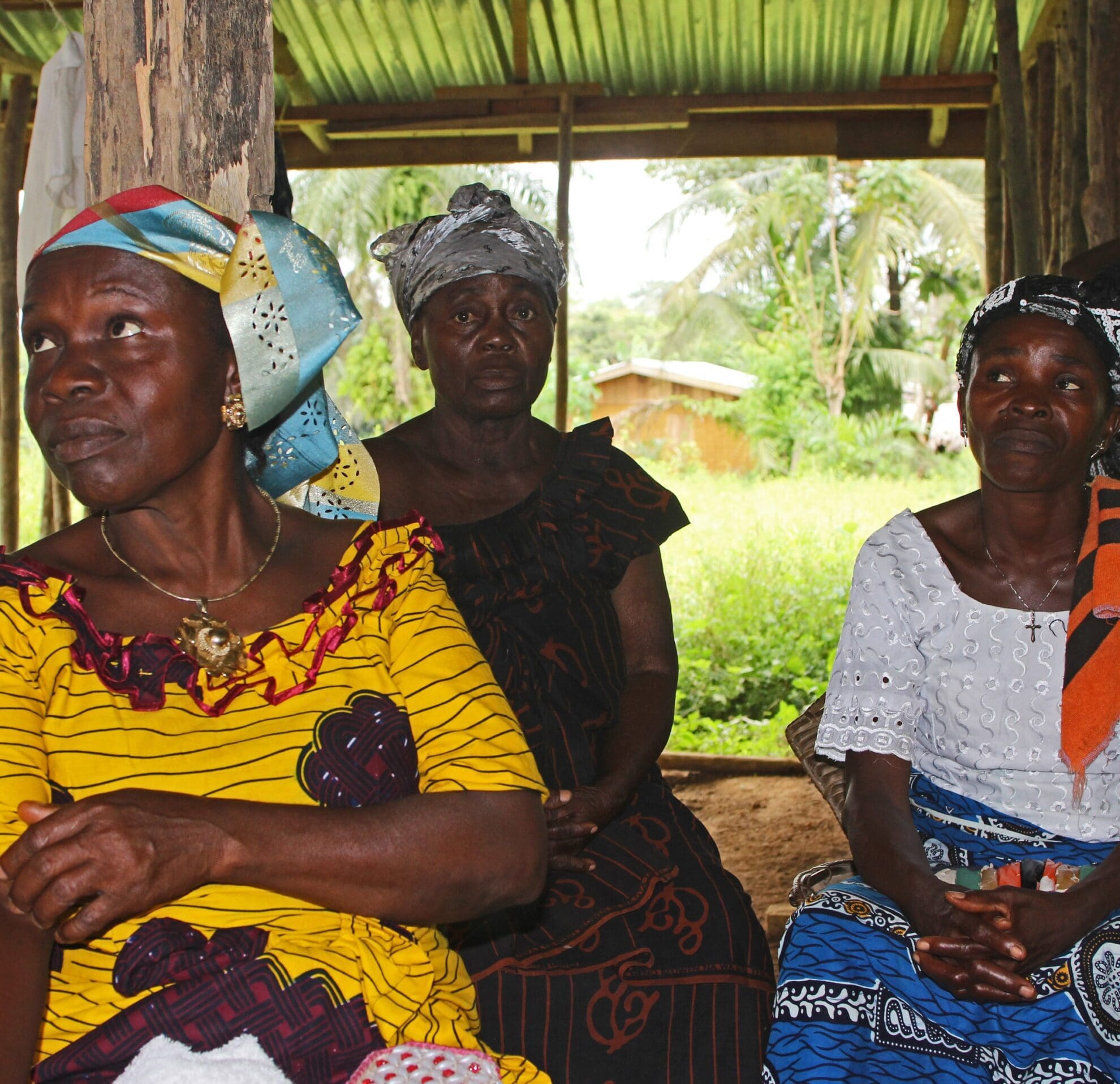 RRI’s Cross-Regional Gender Justice Workshops - Rights + Resources ...